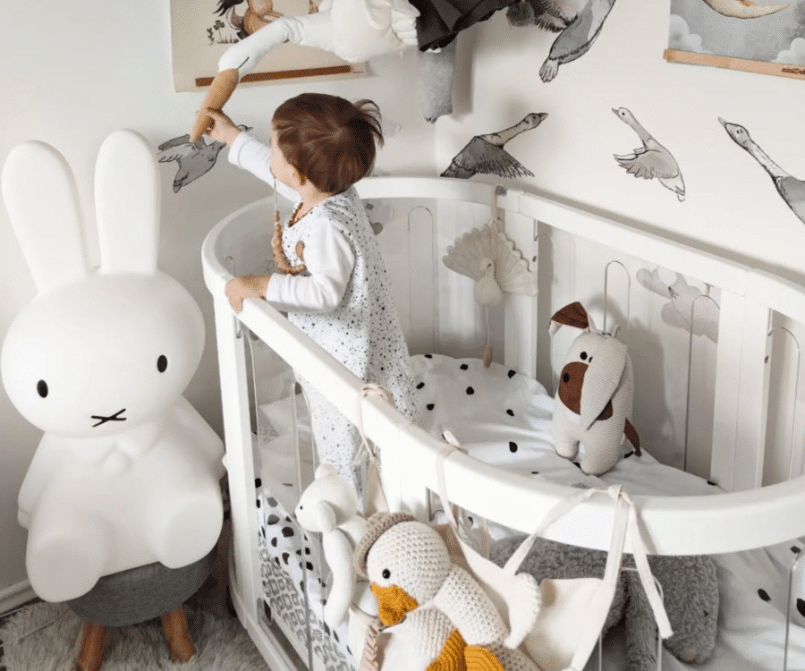 Kaylula Sova Cot Clear Package - babyhood